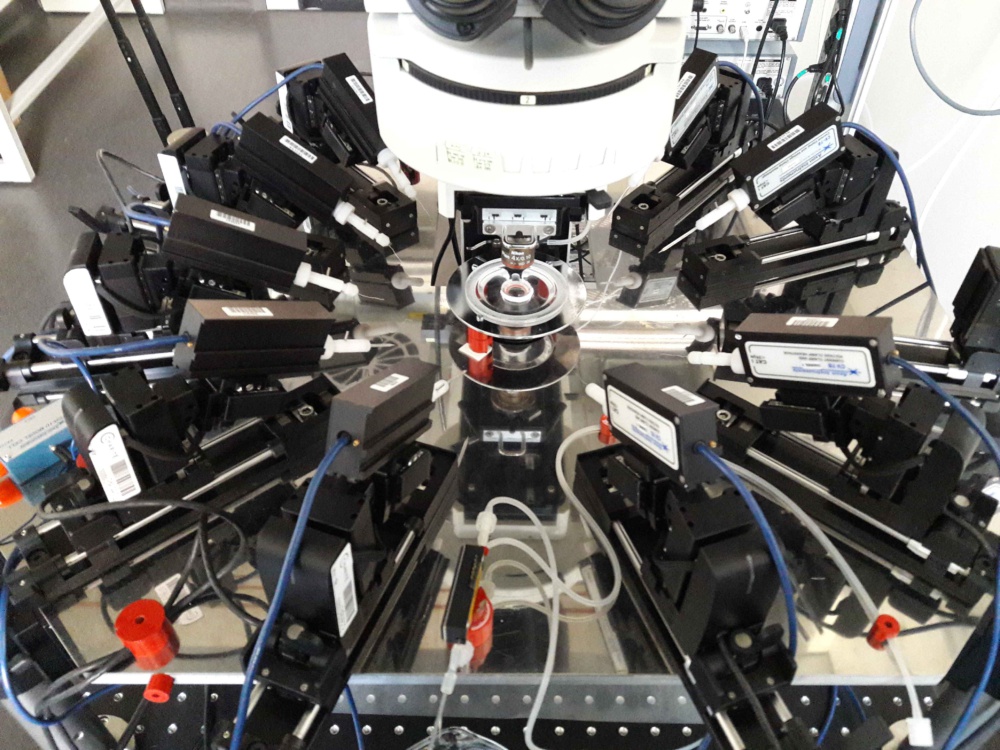 News & Events - Ultraprecise Micromanipulator – Sensapex