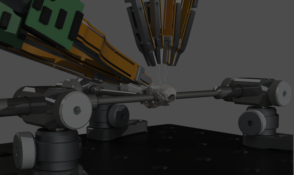Multiprobe rig for in vivo recordings