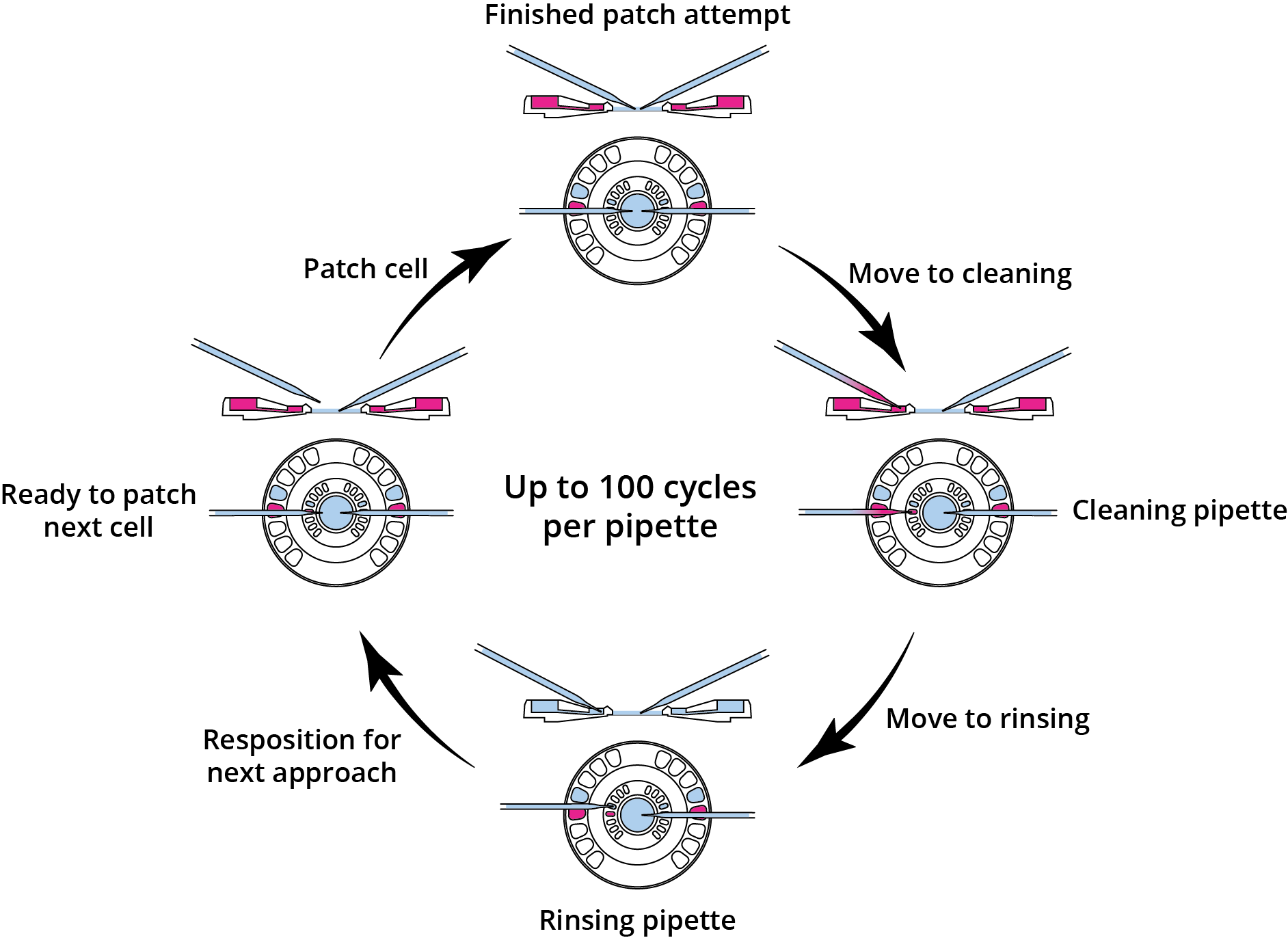 Cleaning patch clamp pipettes for immediate reuse