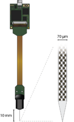 How to implement Neuropixels - Ultraprecise Micromanipulator – Sensapex